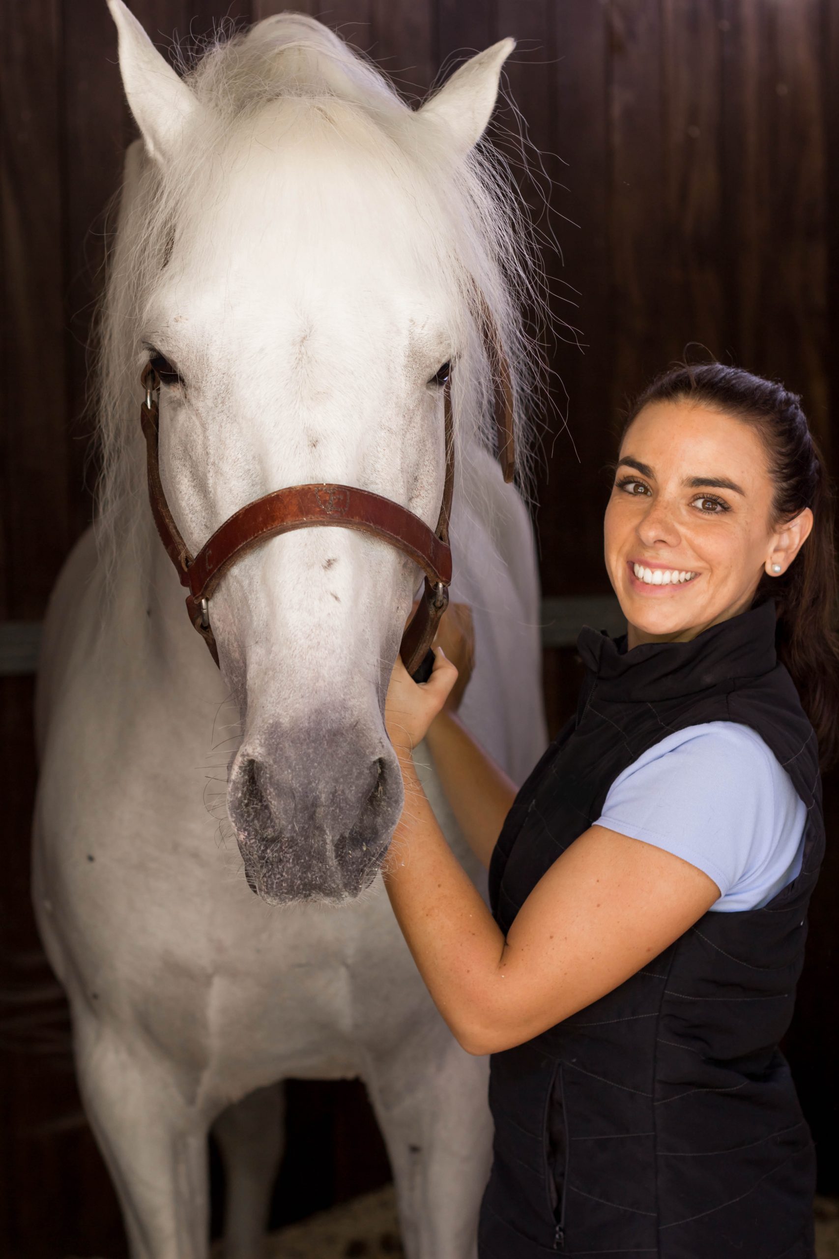 Blog – Equine Physio Performance